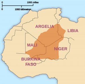 ملكة الطوارق الجزائرية قلّدت النمل دفاعاً عن شعبها